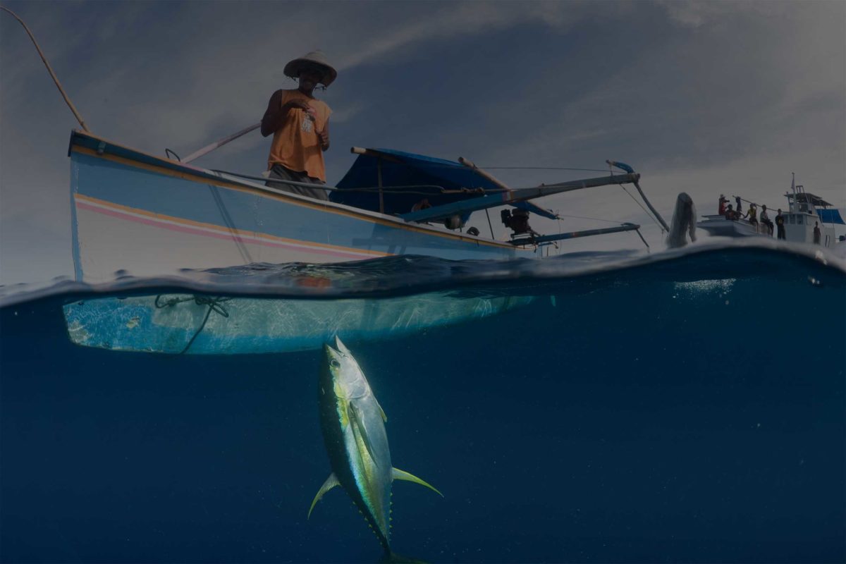 The Ocean Union – The Ocean Union